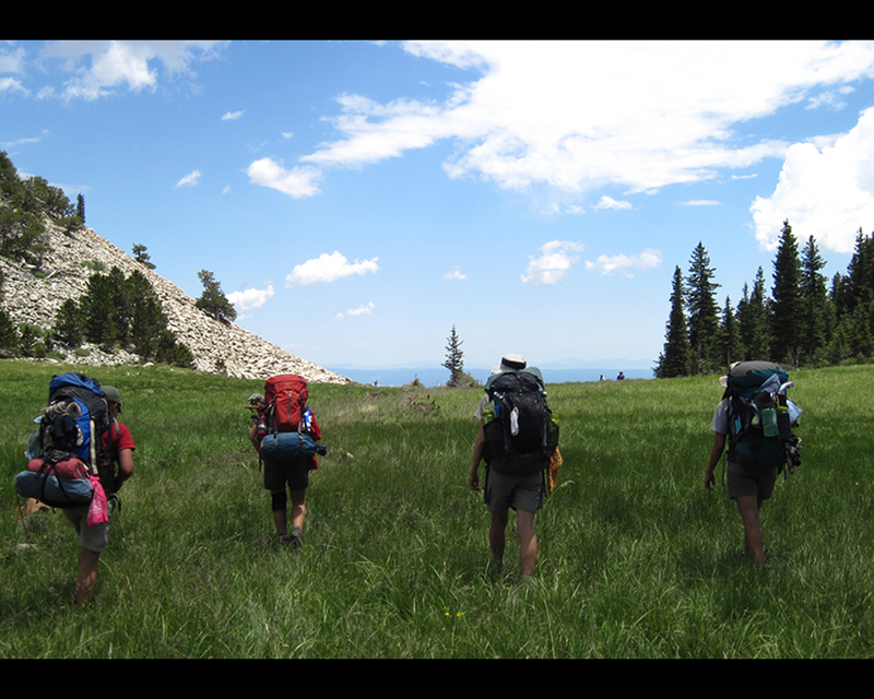 Help Spread the Word About Voice of the Scout Survey - Scouting Wire ...