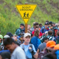 Let’s Get Down to Business, Shall We? - Scouting Wire : Scouting Wire