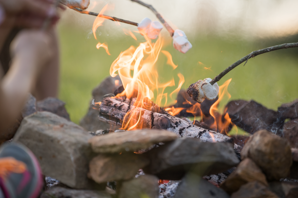 Thankful for Momentum in Scouting - Scouting Wire : Scouting Wire