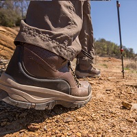 The advantage of kindness and character - Scouting Wire : Scouting Wire