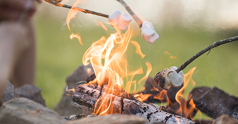 BSA 2021 National Annual Meeting Fireside Chat: Safety - Scouting Wire ...